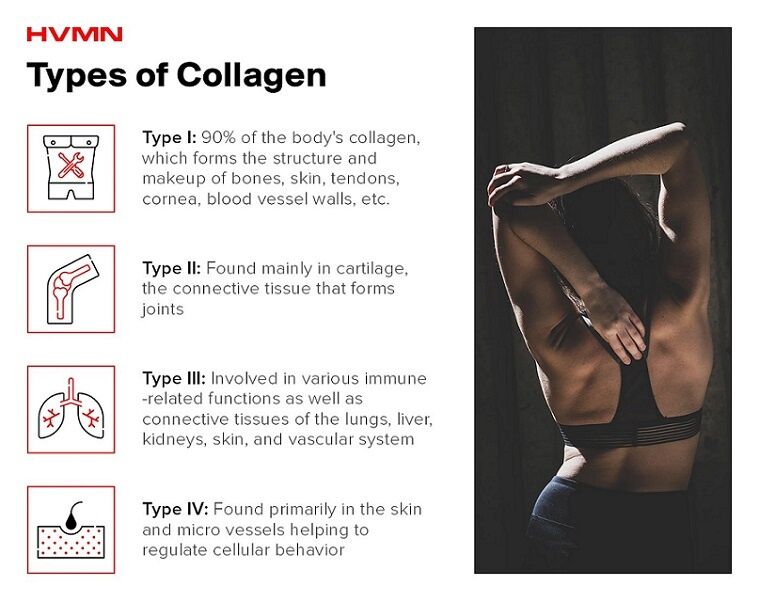 Collagen Powder: Benefits and Uses - Need For Run